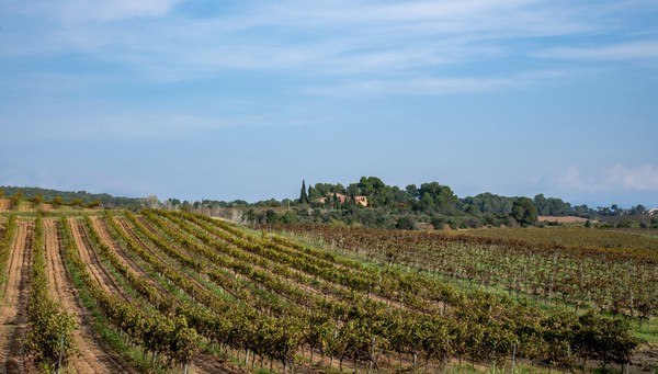 Itinerario Detallado Gran Tour de Europa 2025 - Más de 15 días